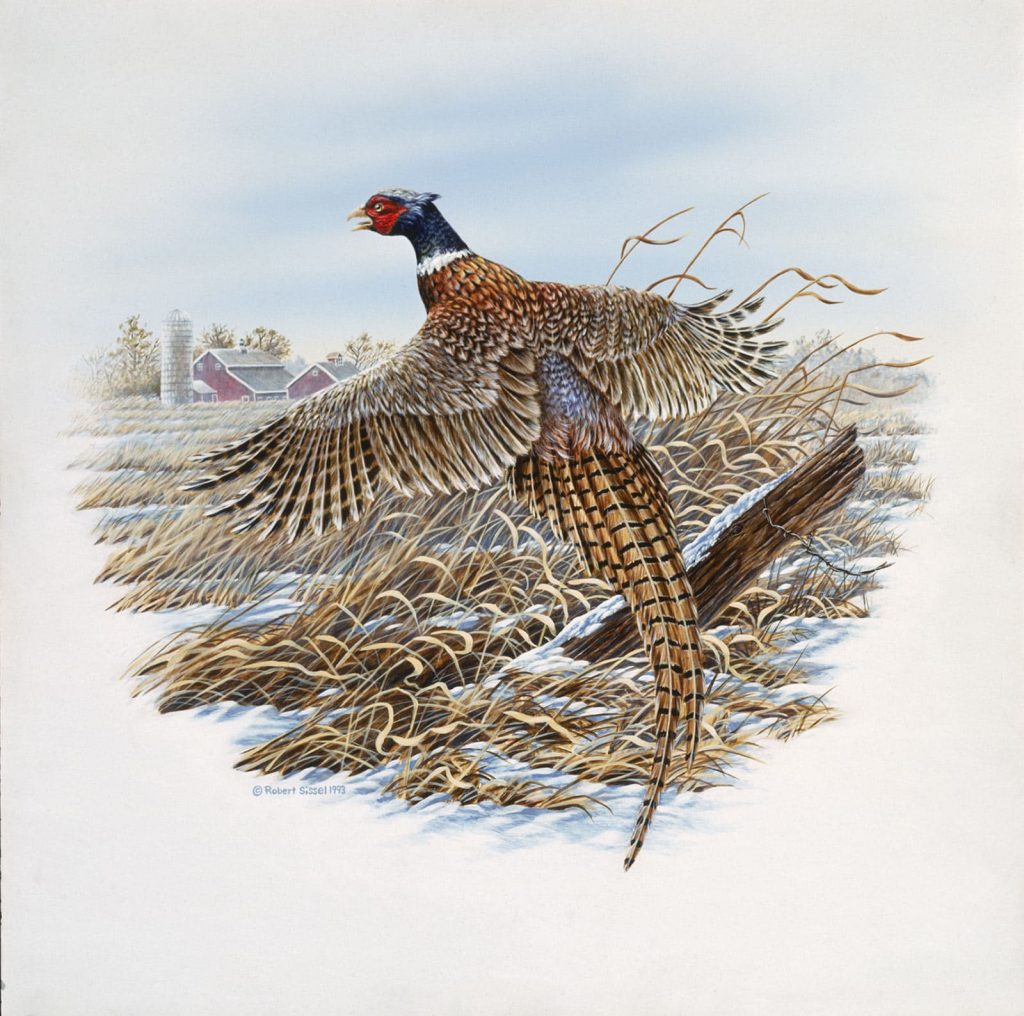 » The Windward Path